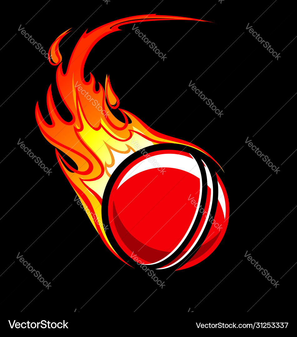 Flaming cricket ball Royalty Free Vector Image