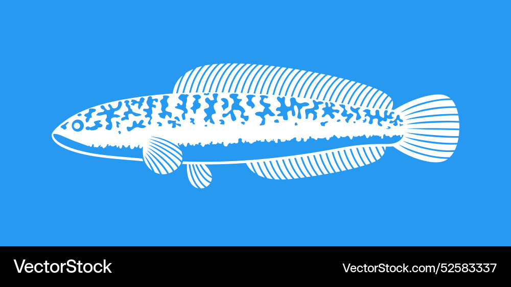 Snakehead Royalty Free Vector Image - VectorStock