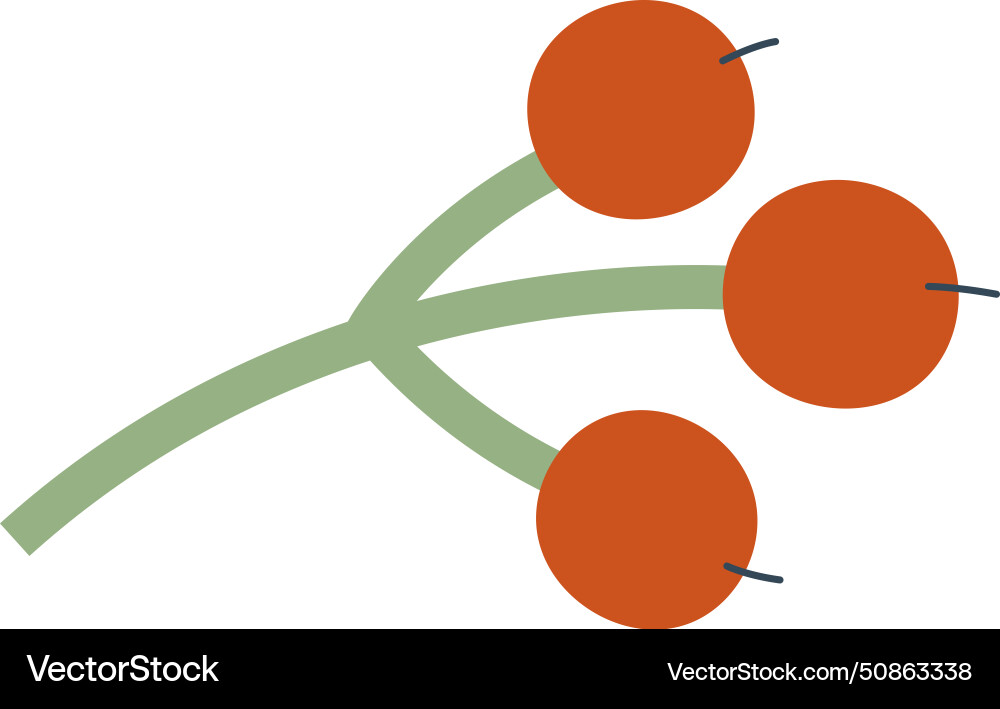 Berries branch cartoon Royalty Free Vector Image
