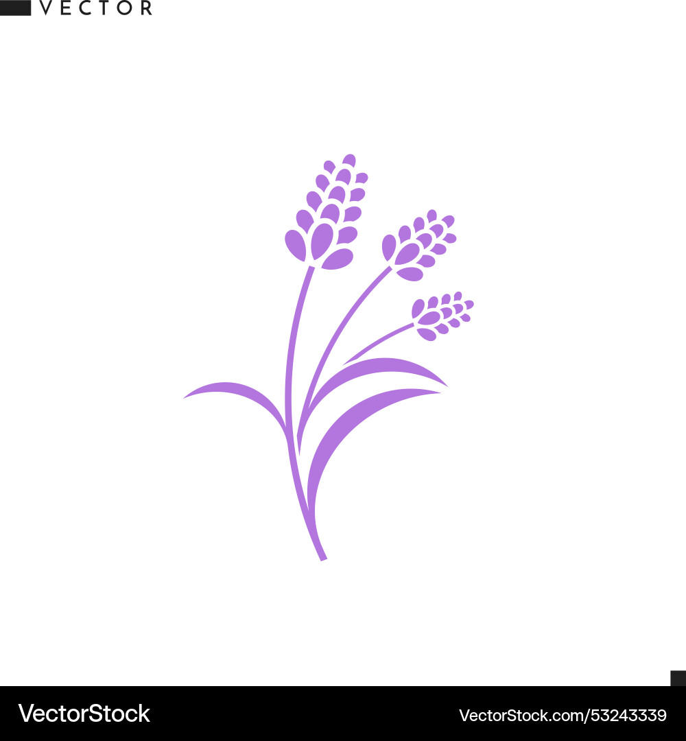 Lavender flower icon purple Royalty Free Vector Image