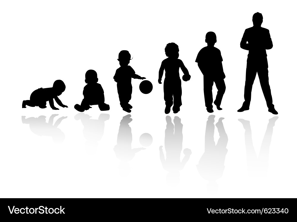 Age evolution silhouettes Royalty Free Vector Image