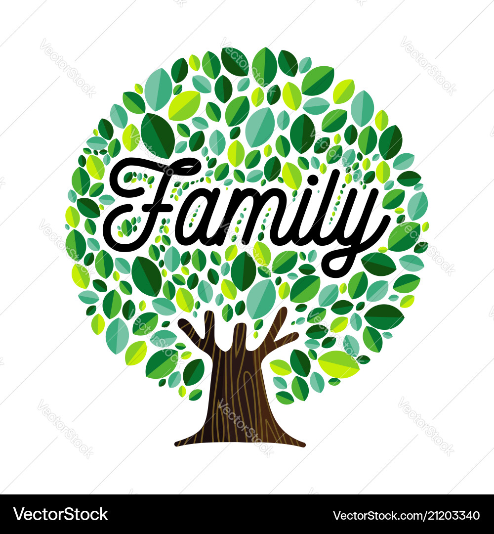 Family tree concept for genealogy Royalty Free Vector Image