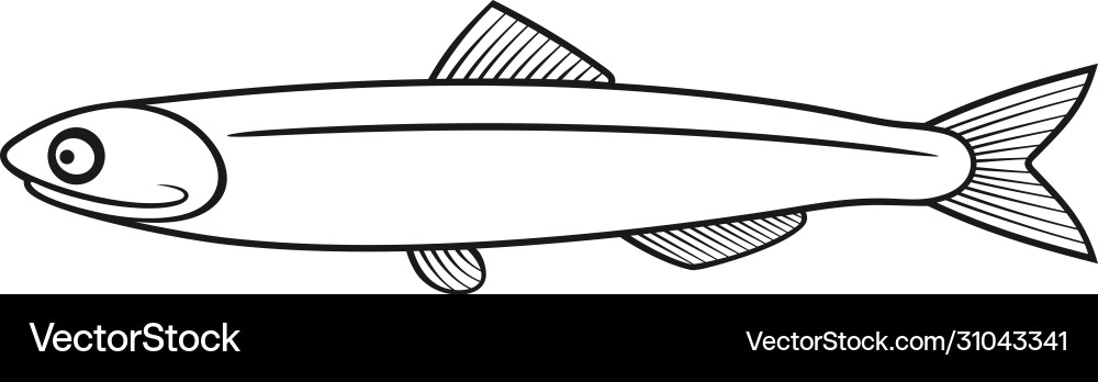 Anchovy Royalty Free Vector Image - VectorStock