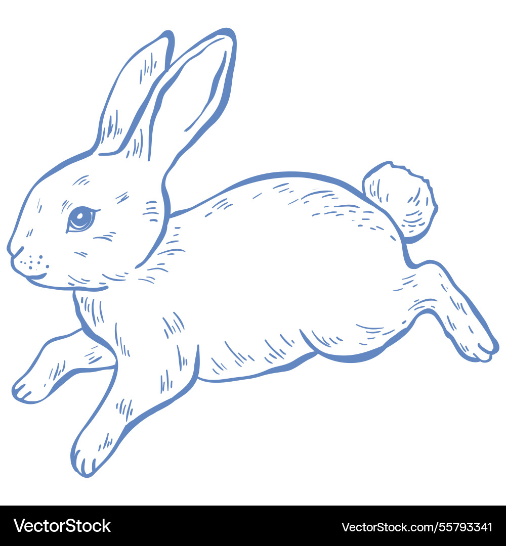 Cute line art bunny Royalty Free Vector Image - VectorStock