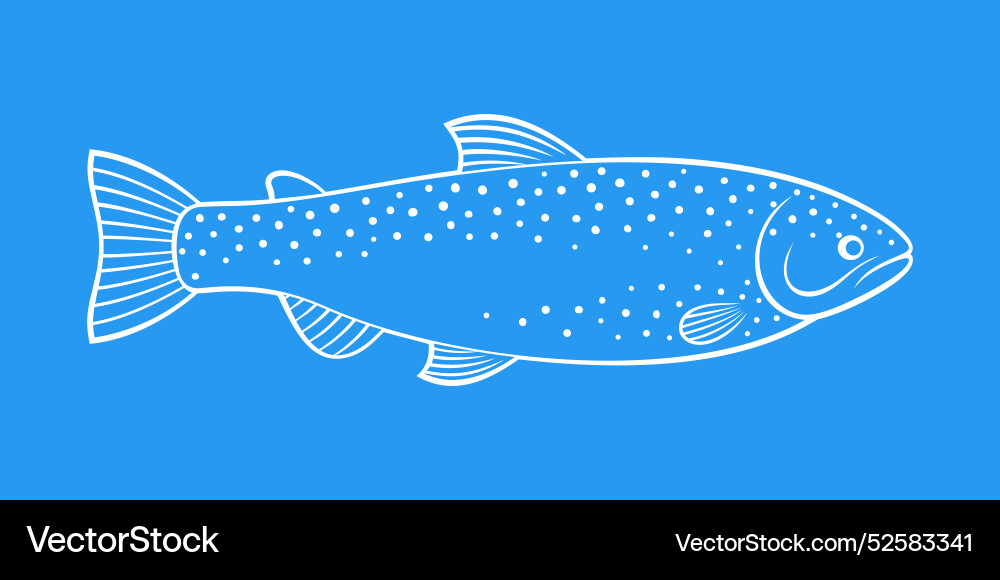 Trout Royalty Free Vector Image - VectorStock
