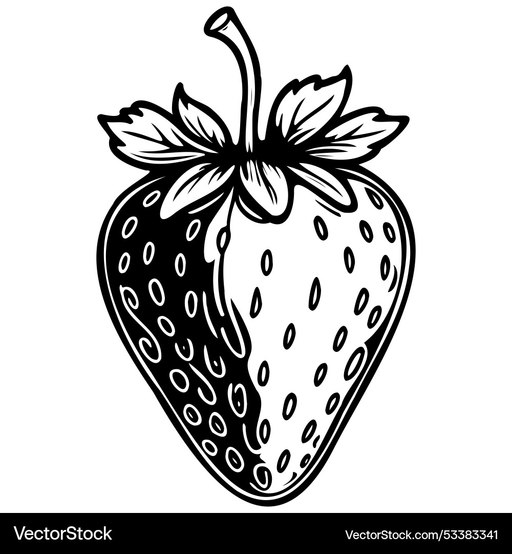 Vintage strawberry sketch realistic fruit Vector Image