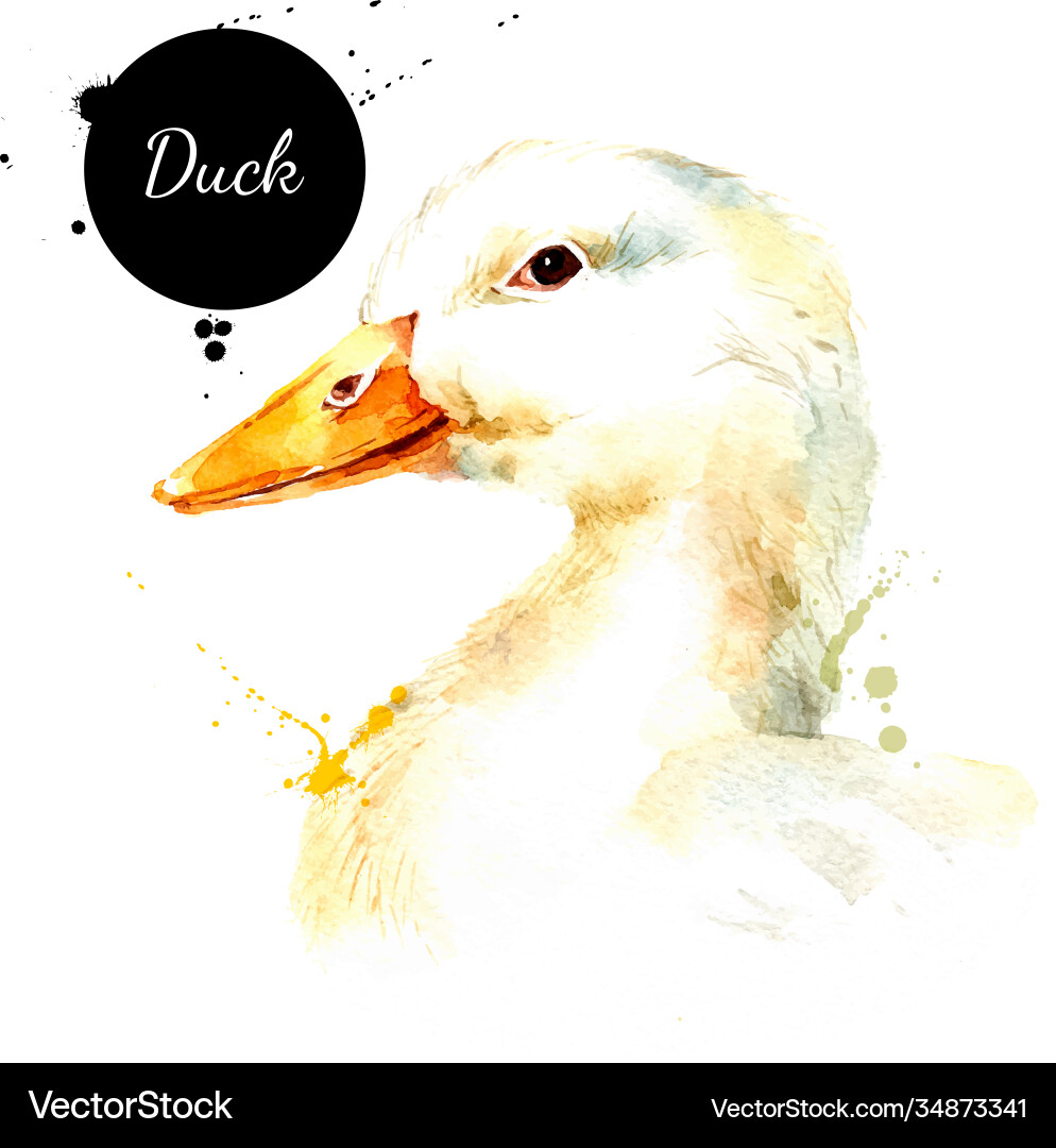 Duck Head Drawing