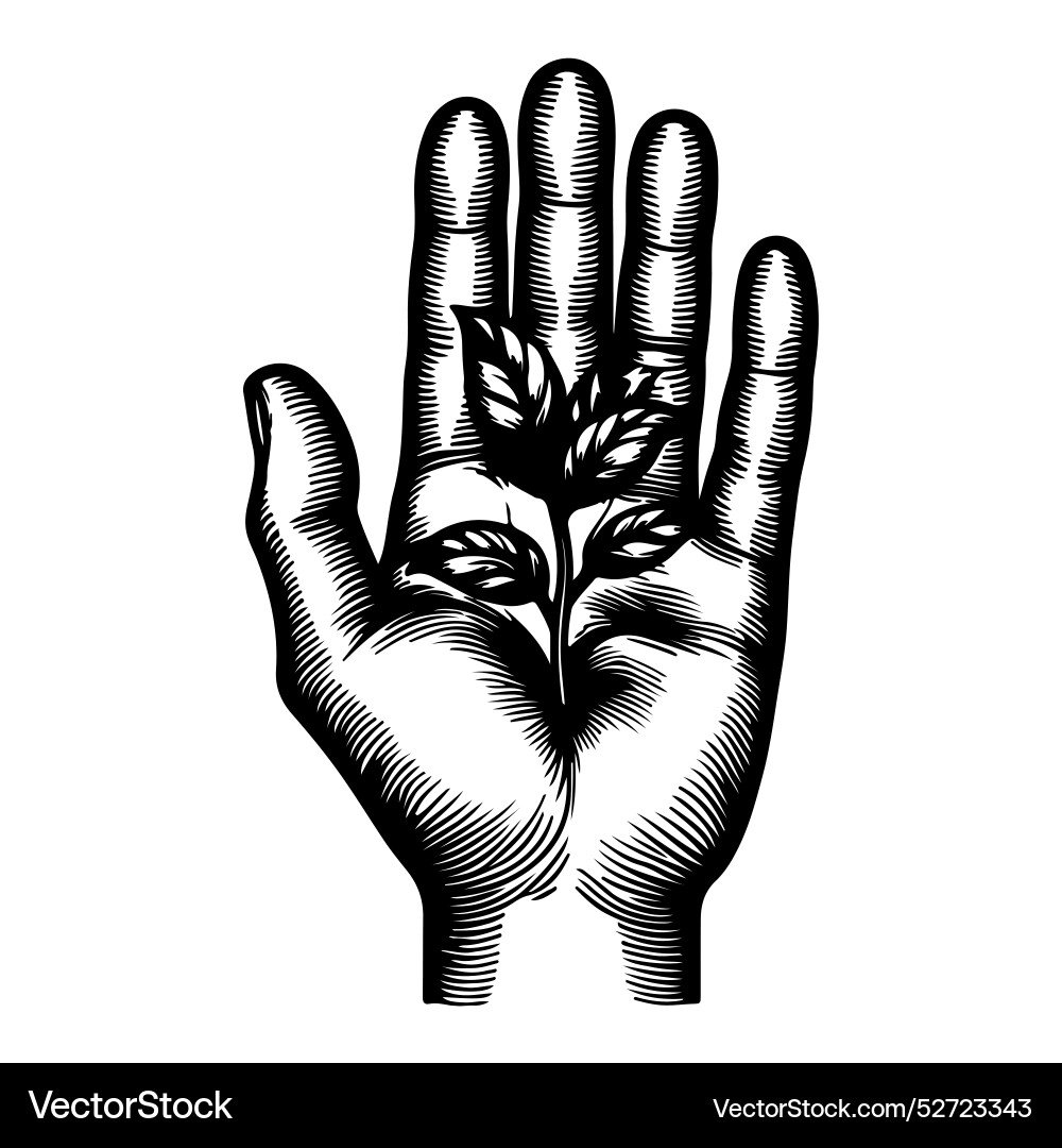 Hand palm outline image with white background Vector Image