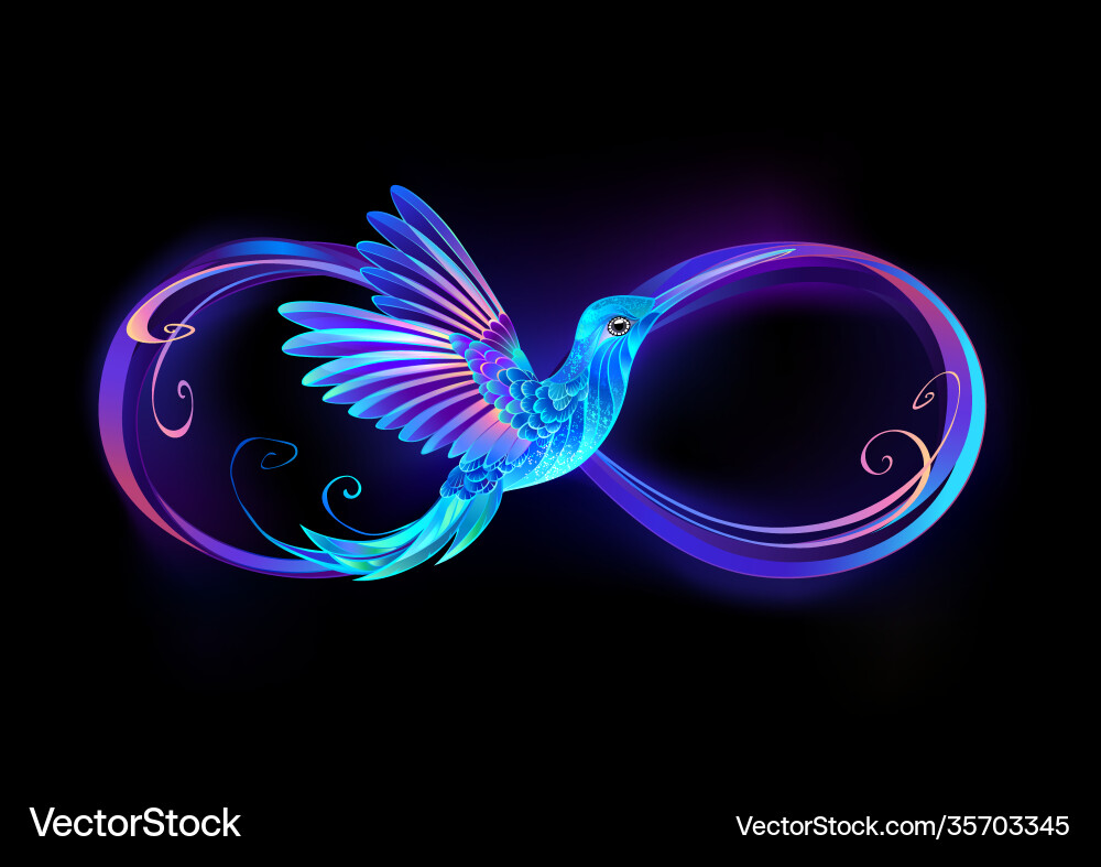 Infinity symbol with glowing hummingbird Vector Image