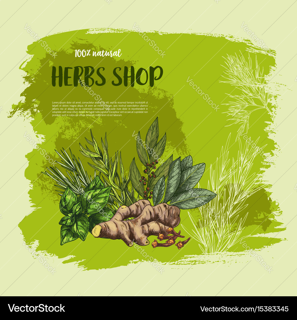 Spices and herbs poster for shop Royalty Free Vector Image