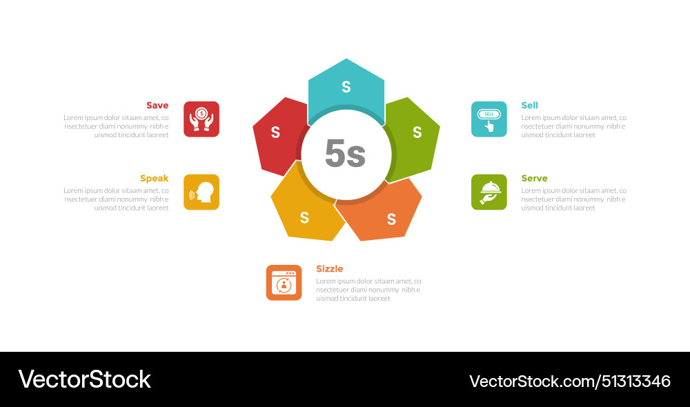 5s model marketing infographics template diagram Vector Image