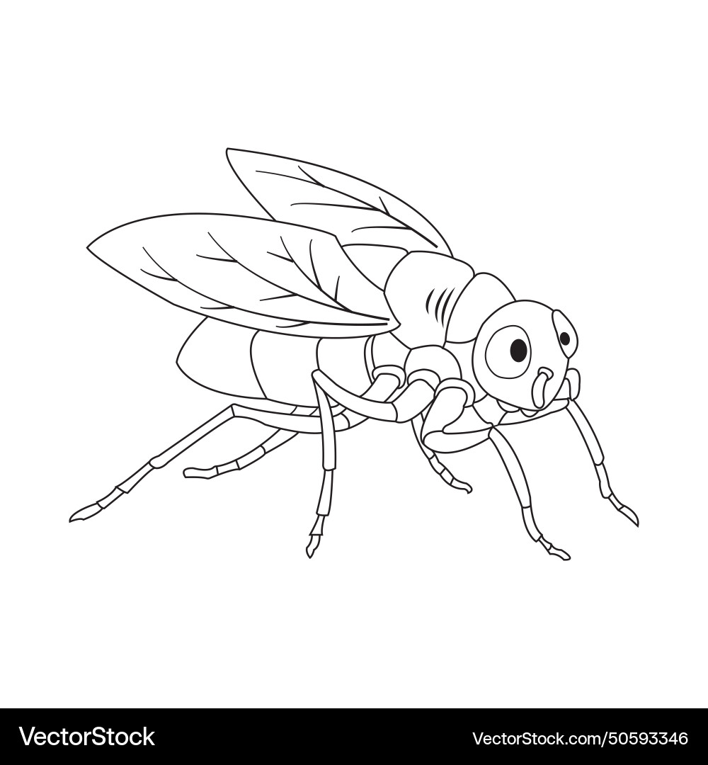 Fly icon Royalty Free Vector Image - VectorStock