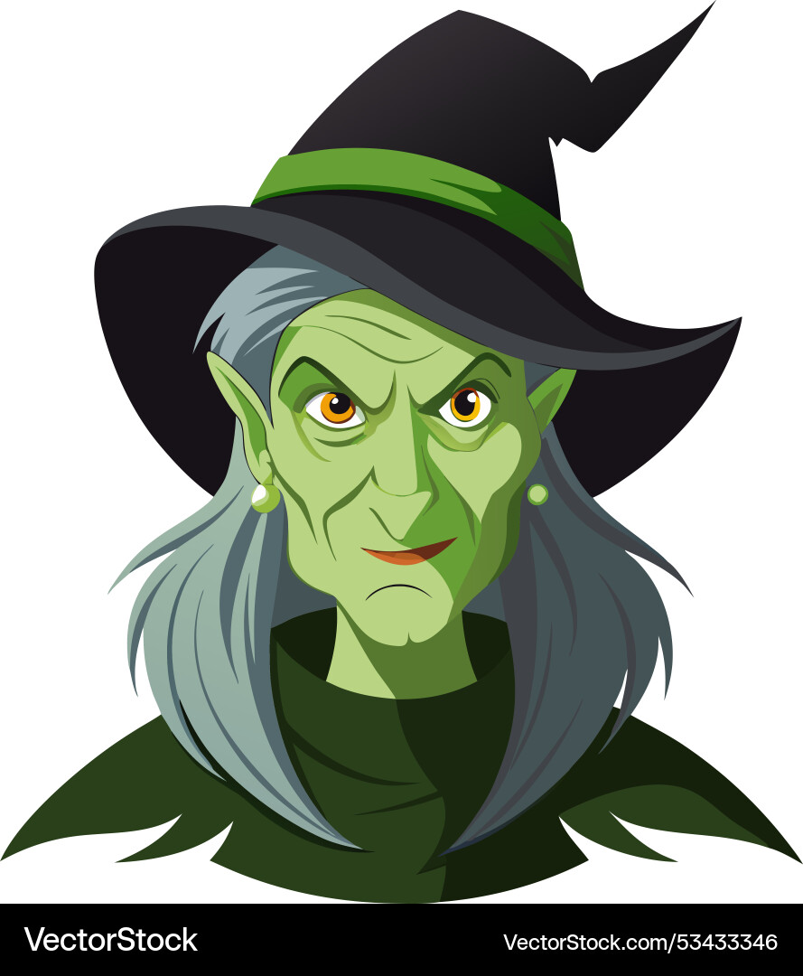 Mysterious witch with hidden face Royalty Free Vector Image