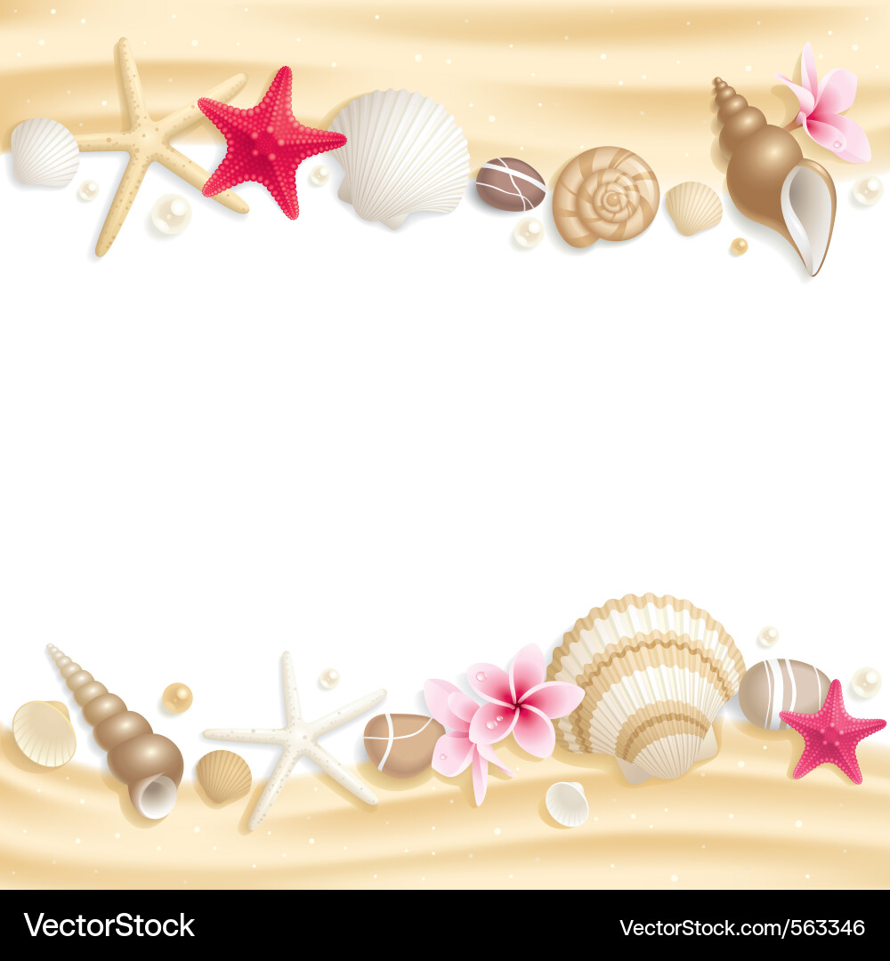 Seashell Vector Images (over 37,000)
