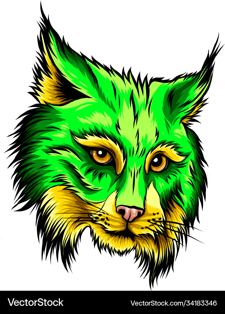 Shows an angry bobcat face Royalty Free Vector Image