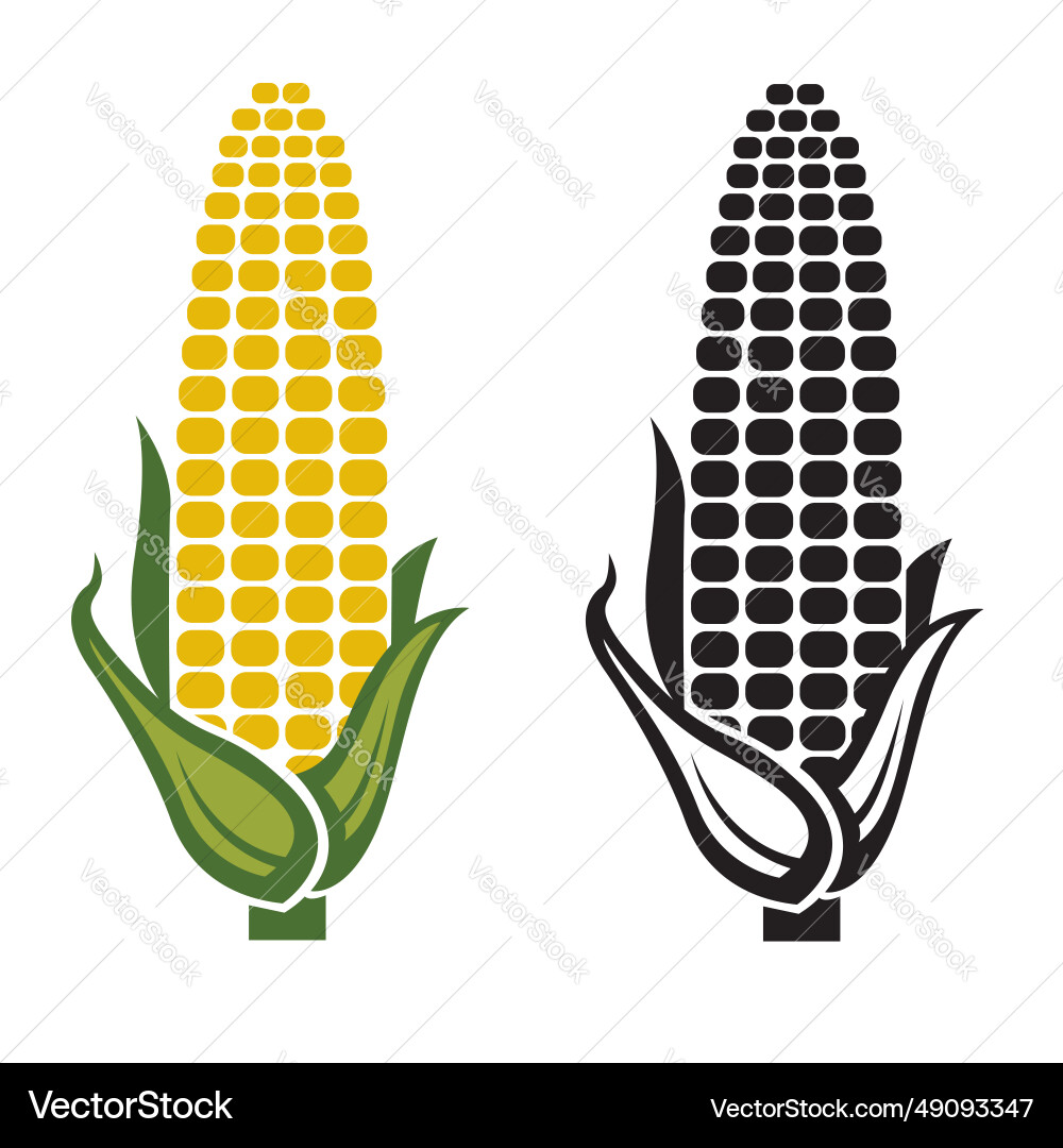 Corn cob icons Royalty Free Vector Image - VectorStock