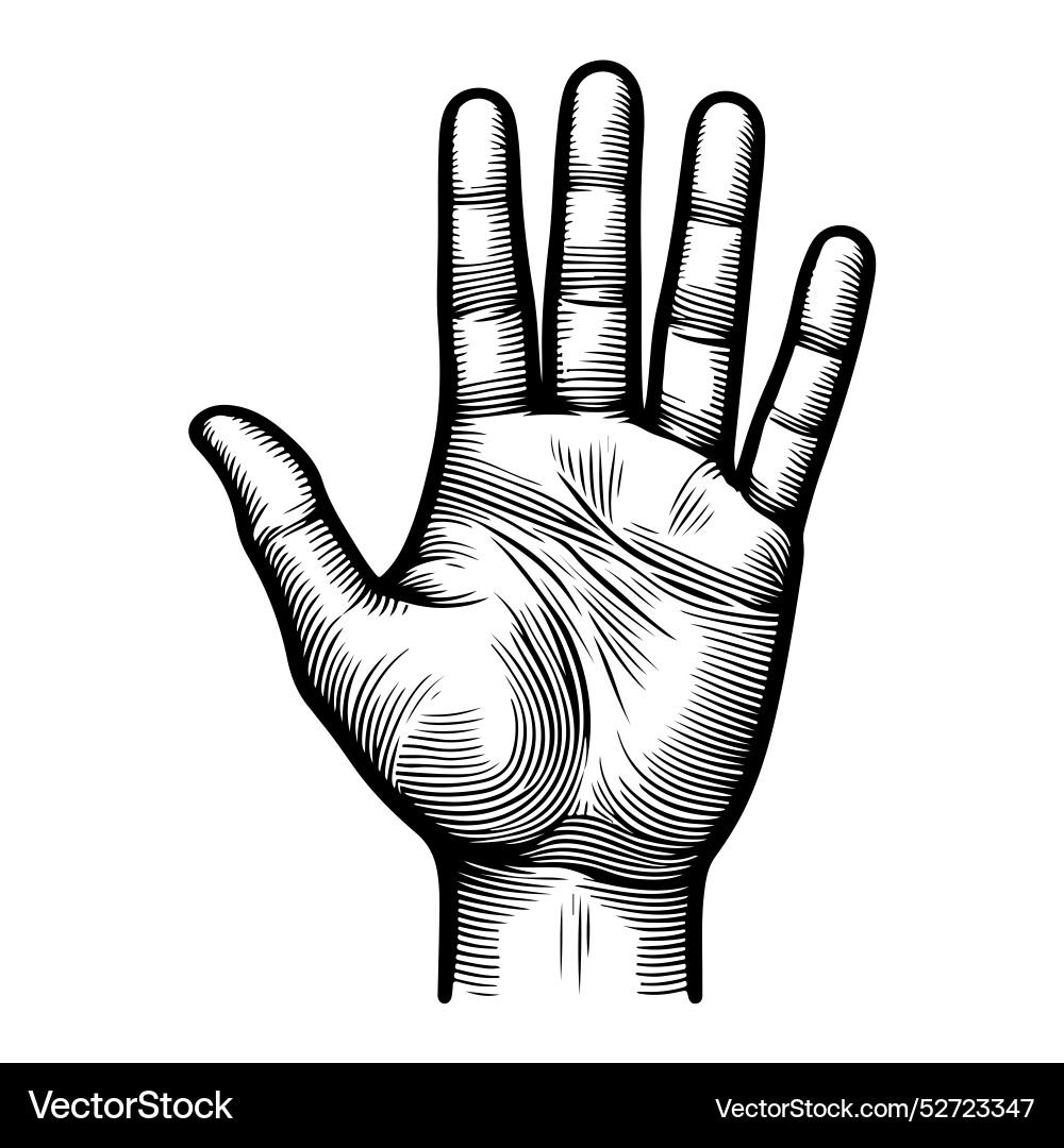 Hand palm outline image with white background Vector Image