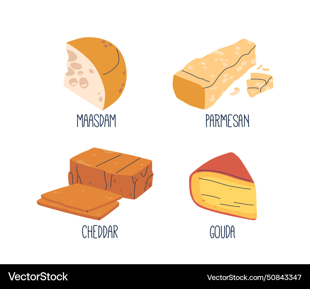 Hard cheese is aged dense and crumbly Royalty Free Vector