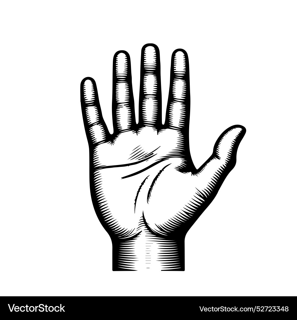 Hand palm outline image with white background Vector Image