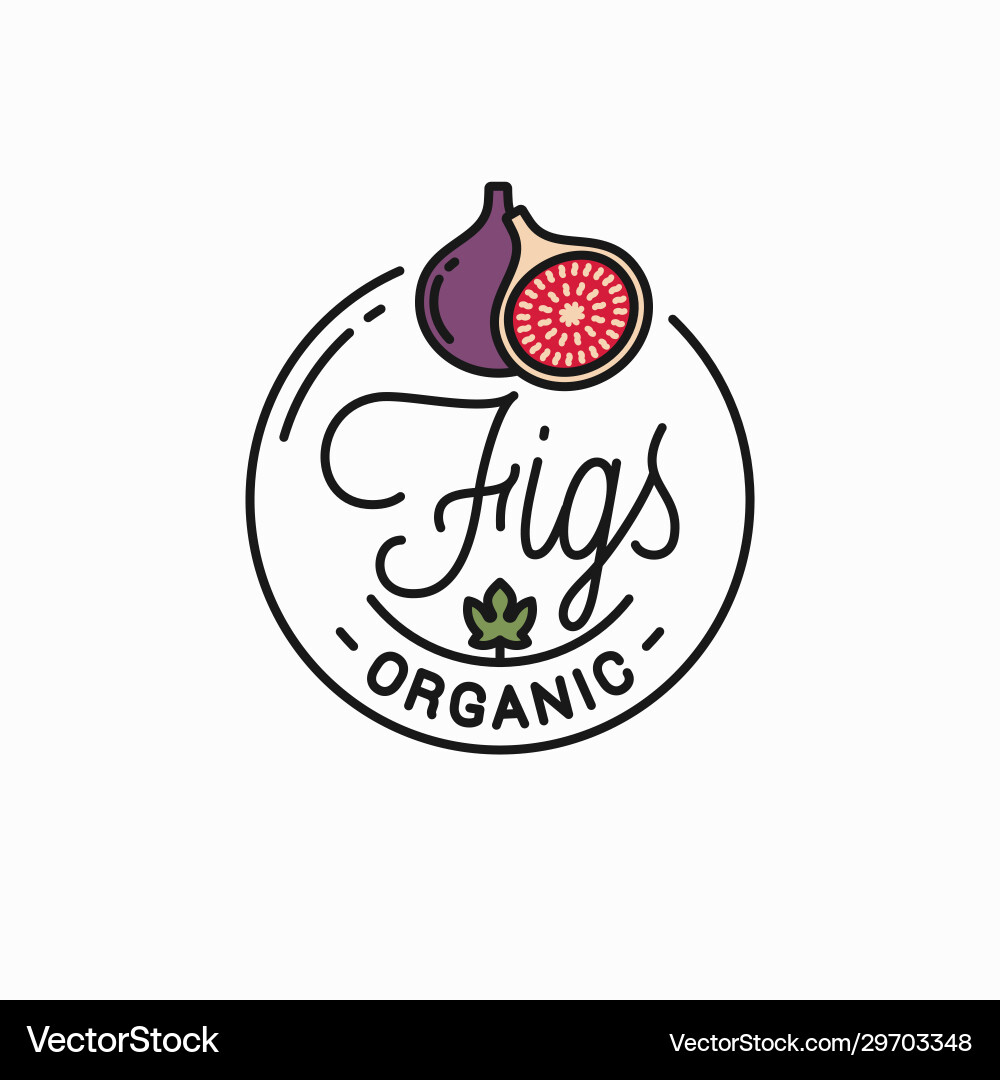 Round Fig Slice Logo - Frisches Obst Lizenzfreier Vektor