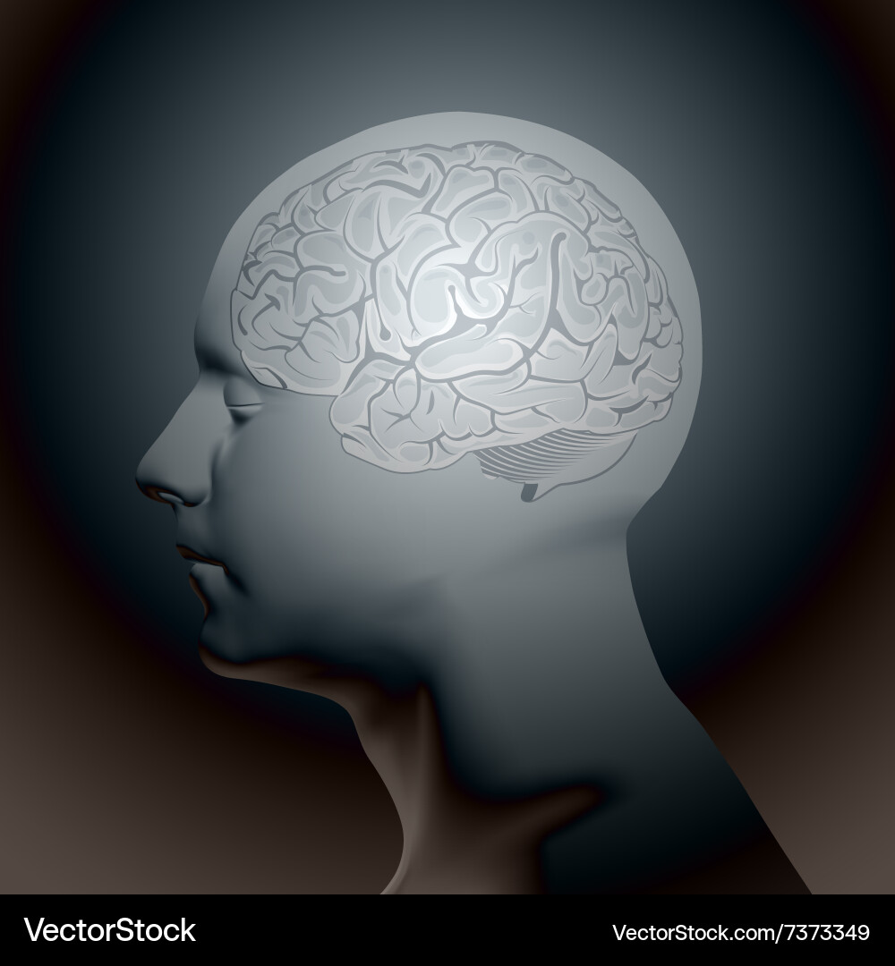 Abstract Human Brain Silhouette Royalty Free Vector Image