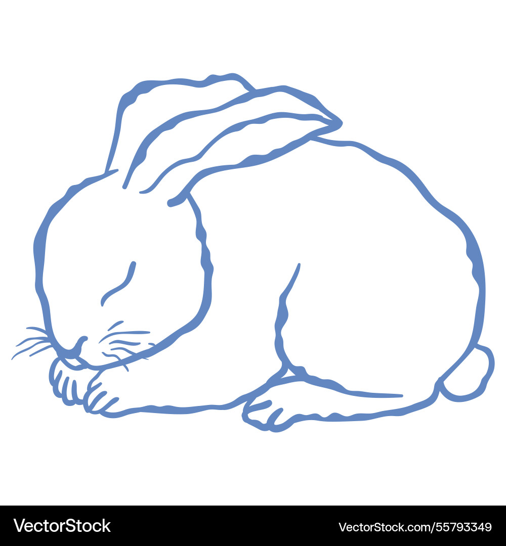Cute line art bunny Royalty Free Vector Image - VectorStock