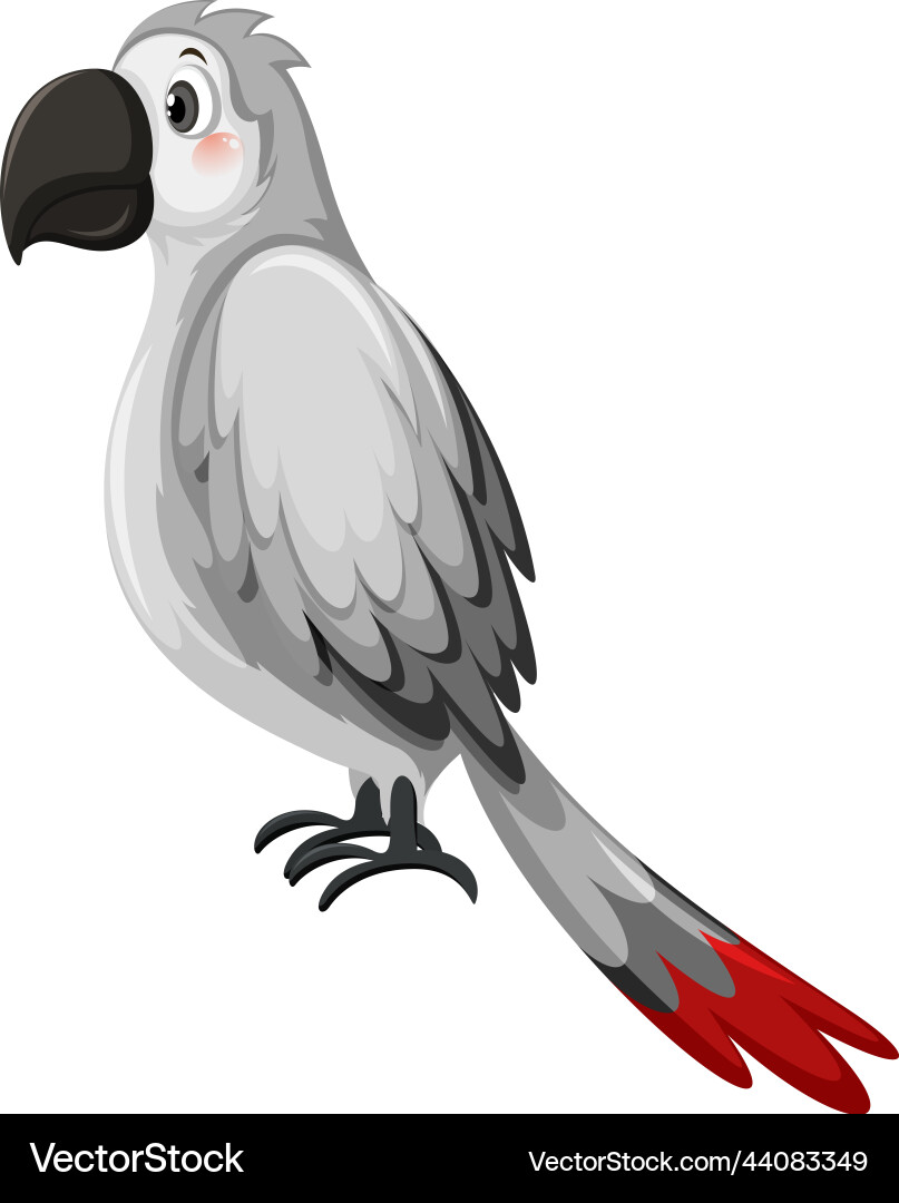 Parrot bird in cartoon style Royalty Free Vector Image