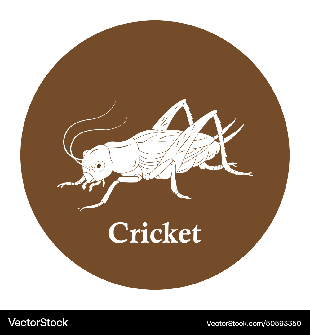 Cricket icon Royalty Free Vector Image - VectorStock