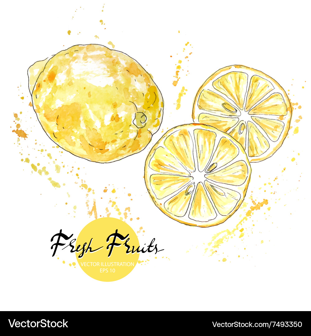 Lemon Royalty Free Vector Image - VectorStock