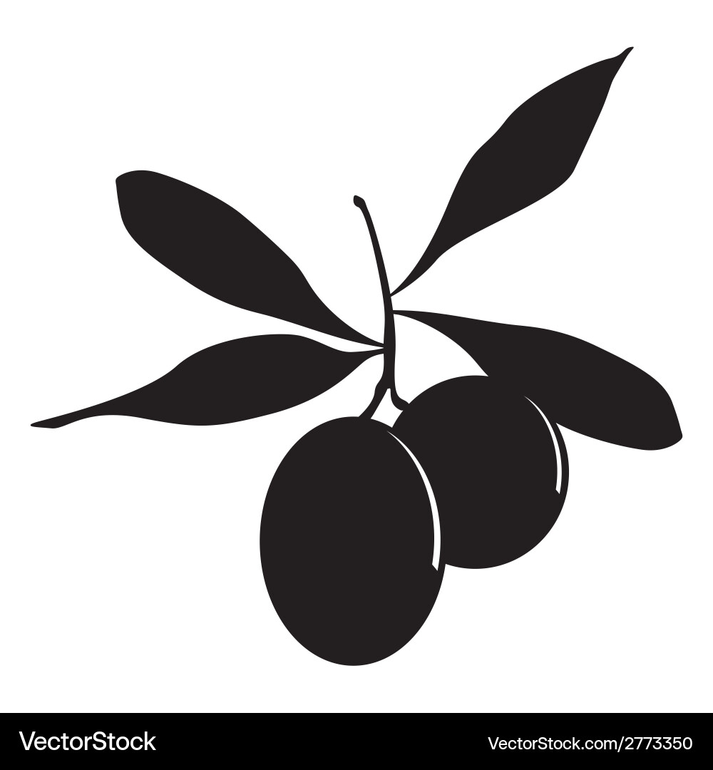 Olives Royalty Free Vector Image - VectorStock