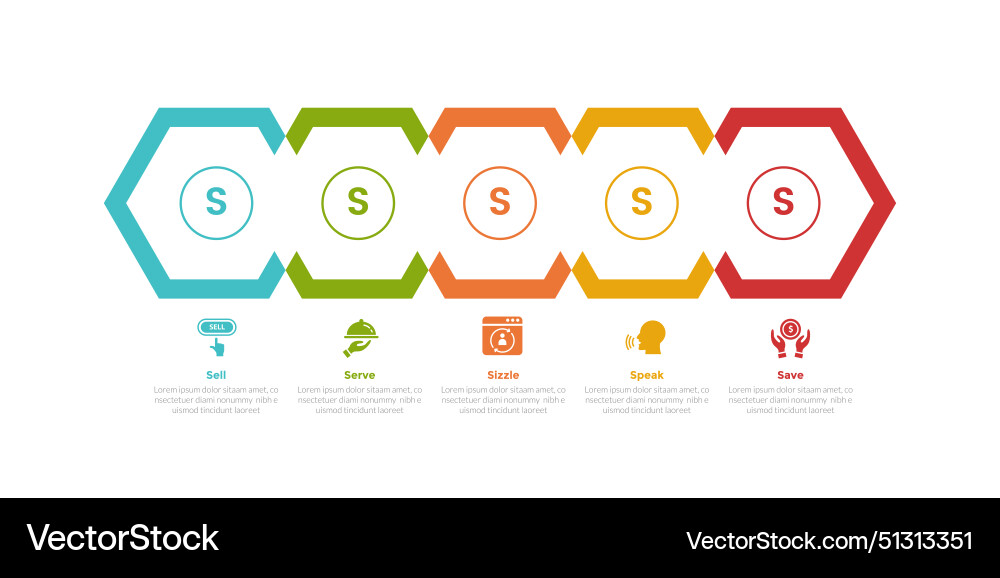 5s model marketing infographics template diagram Vector Image