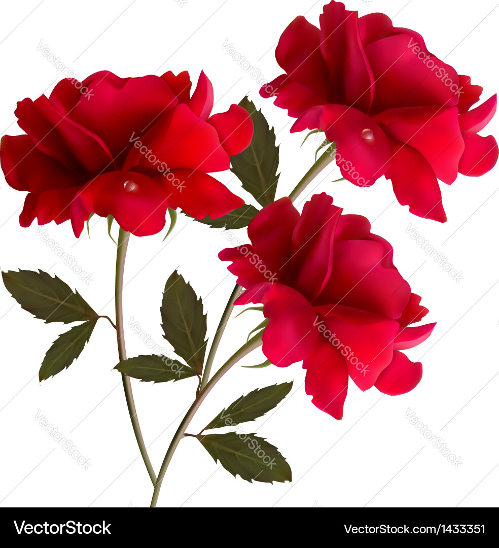 Holiday background with red three roses Royalty Free Vector
