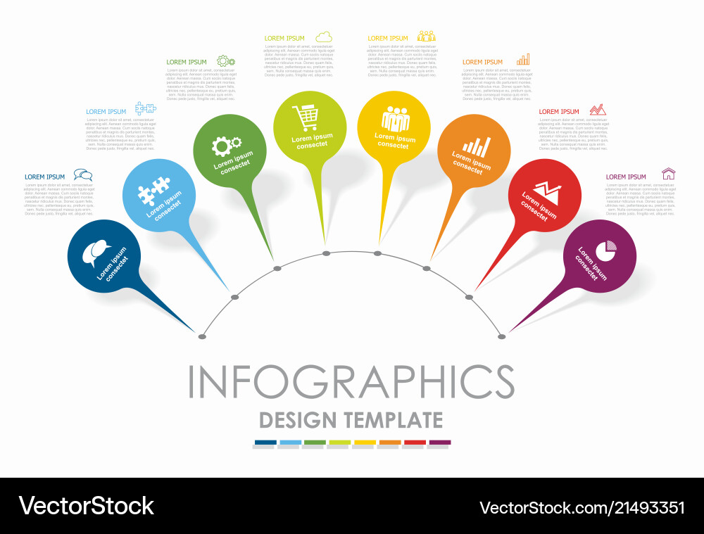 Infographic Template - Modern Business Charts Vector Image