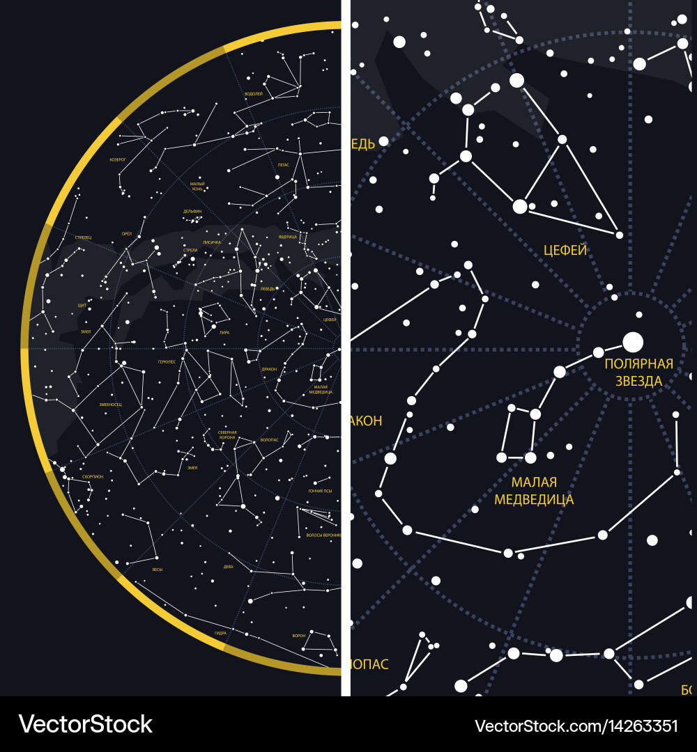 Night sky with constellations russian designation Vector Image