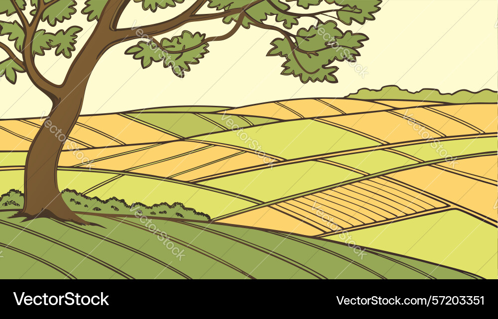 Tree-lined fields of agriculture with rural charm Vector Image