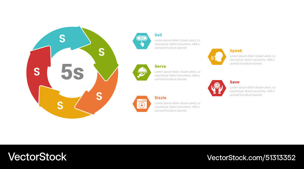 5s model marketing infographics template diagram Vector Image