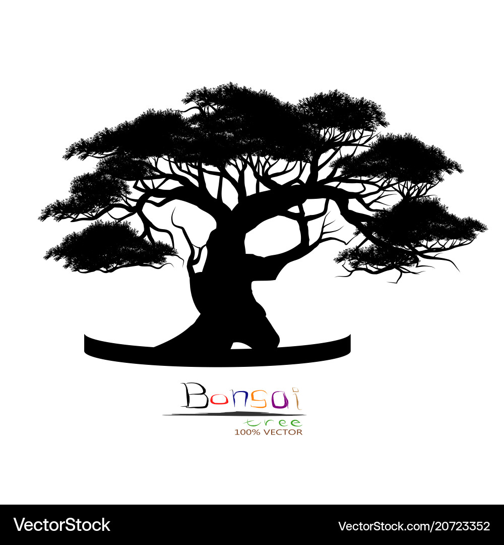 Bonsai tree Royalty Free Vector Image - VectorStock