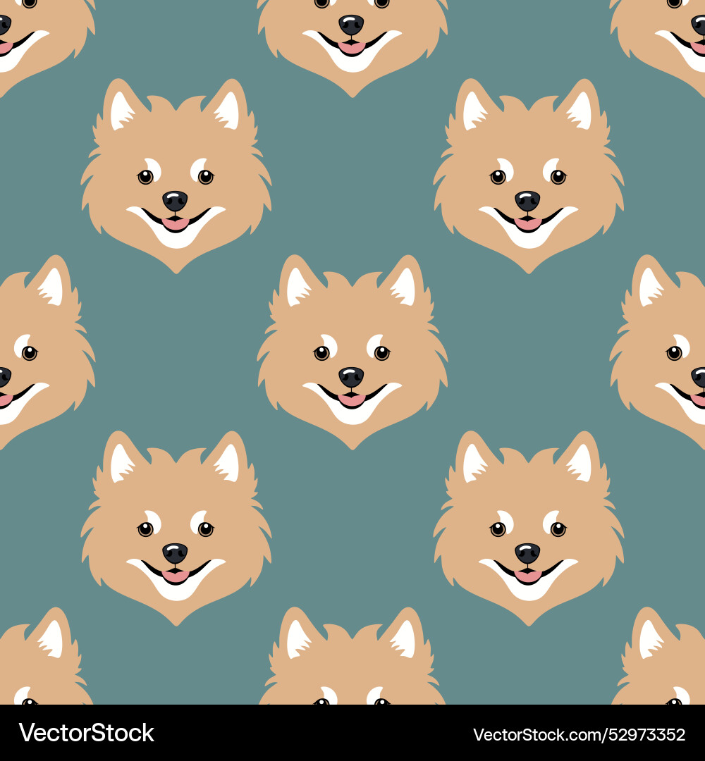 Seamless pattern with spitz dog heads Royalty Free Vector
