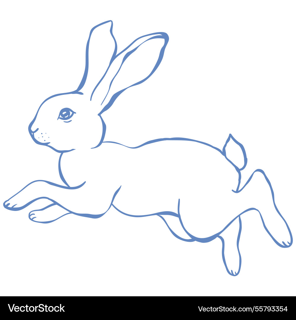 Cute line art bunny Royalty Free Vector Image - VectorStock