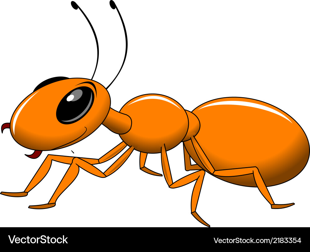 Red ant cartoon Royalty Free Vector Image - VectorStock