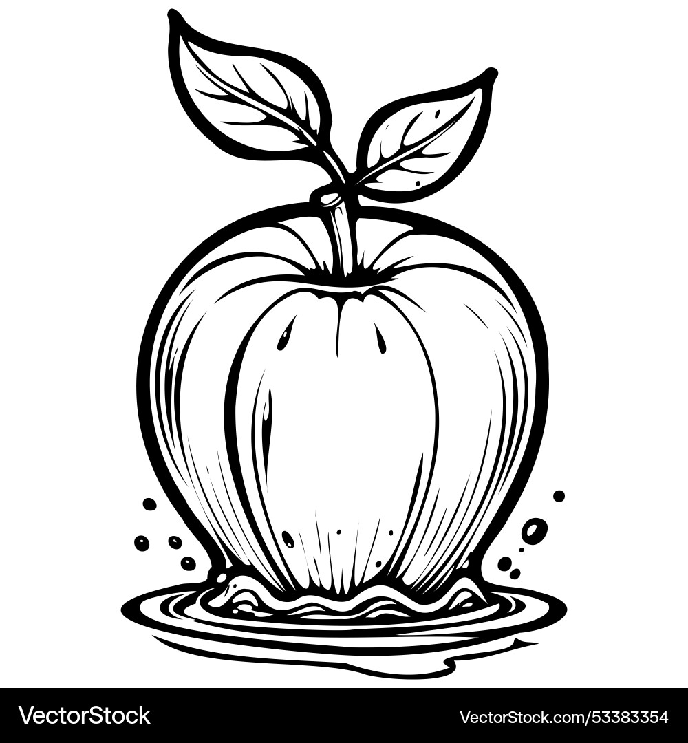 Water apple engrave hand drawn fruit transparent Vector Image