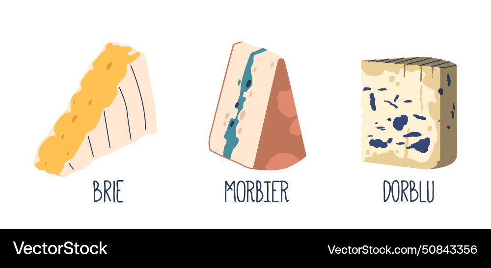 Brie soft creamy cheese with a mild flavor Vector Image