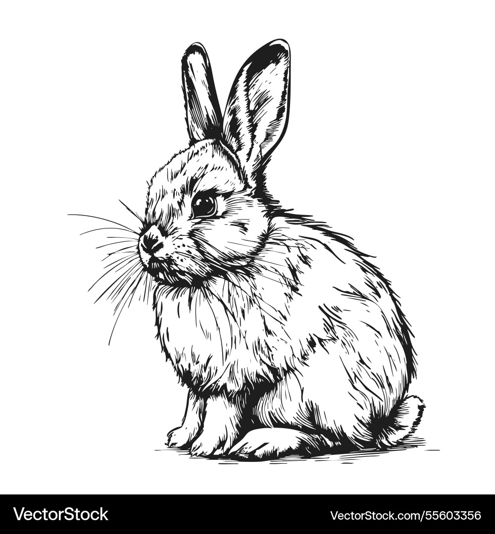 Rabbit ink Royalty Free Vector Image - VectorStock