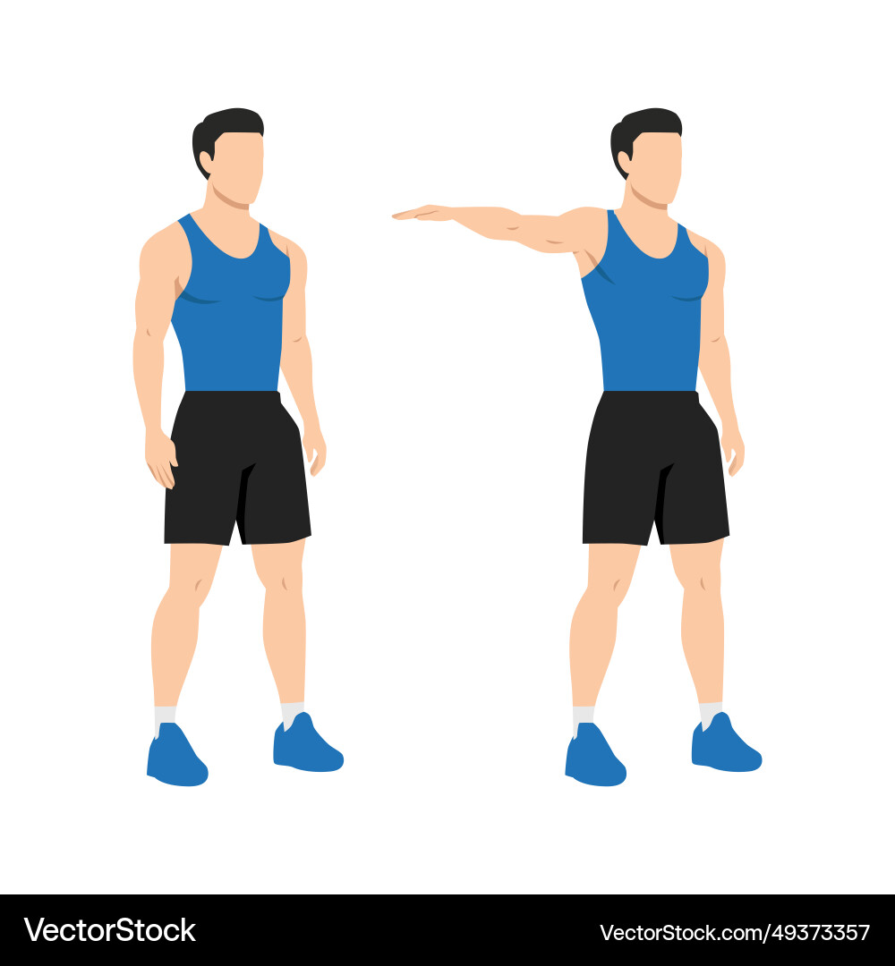 Upper Body Muscles Vector Images (over 450)