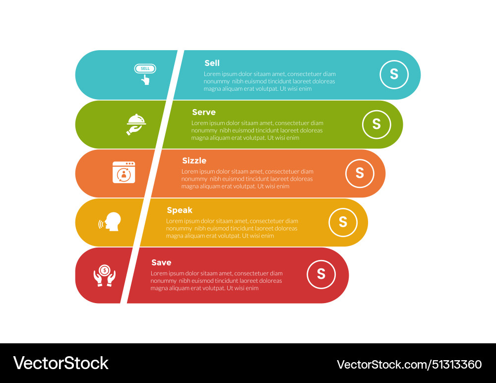 5s model marketing infographics template diagram Vector Image