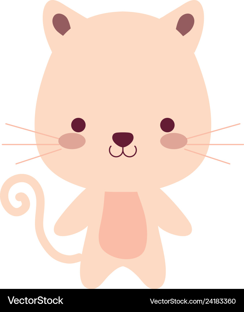 Cute and little cat character Royalty Free Vector Image