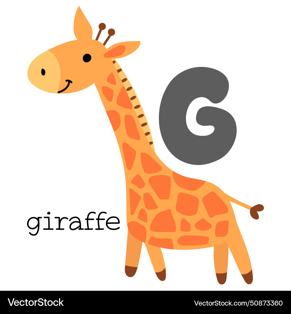 Educational of letter g from alphabet Royalty Free Vector