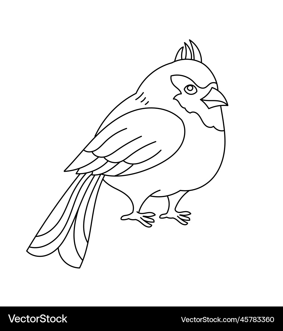 Northern cardinal bird editable outline stroke Vector Image