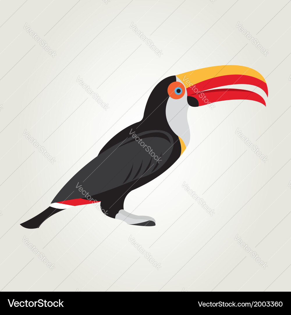 Toucan Royalty Free Vector Image - VectorStock