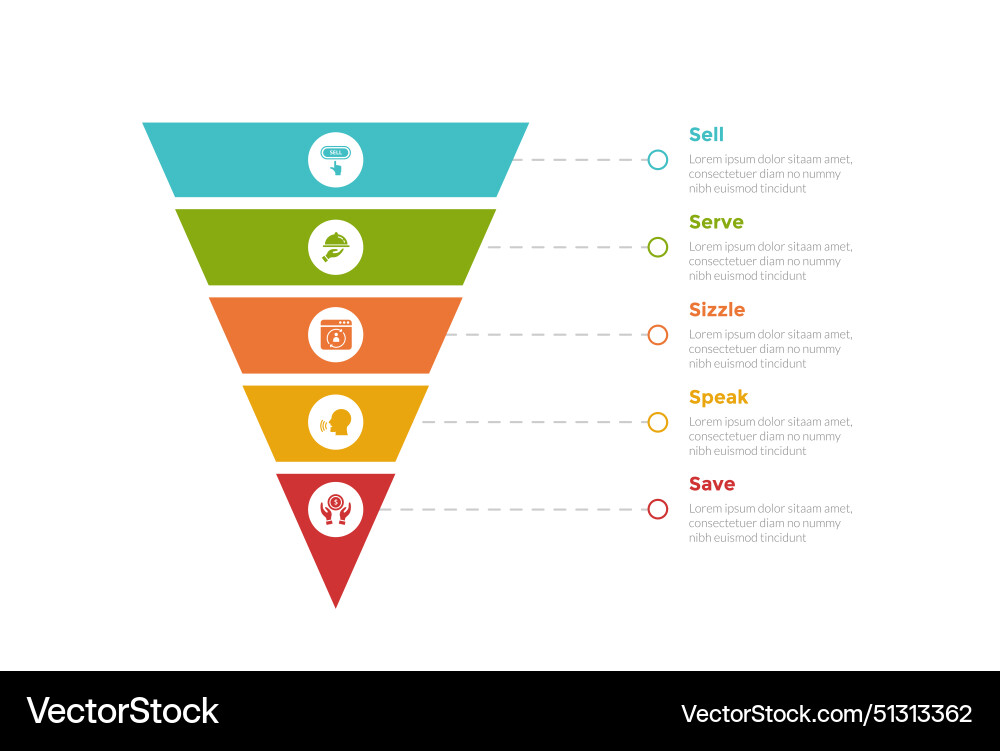 5s model marketing infographics template diagram Vector Image
